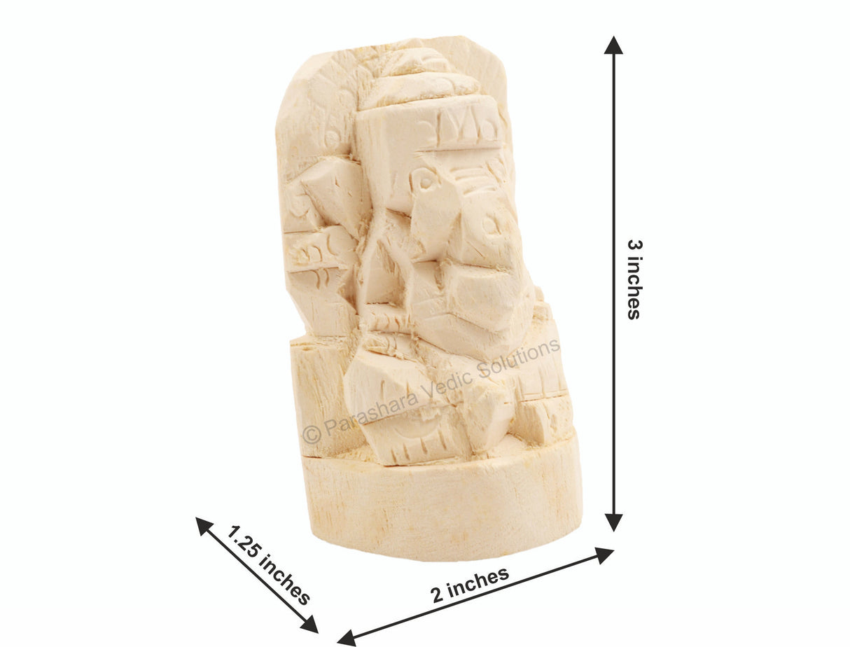 ARKAM Shwetark Ganpati/ Shvetark Ganapati/ Shwetarka Ganesh/ Shwetark ...