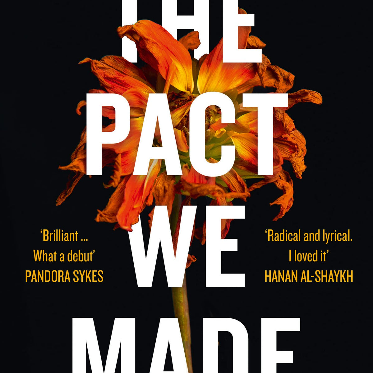 Pact We Made, The | Retail Maharaj