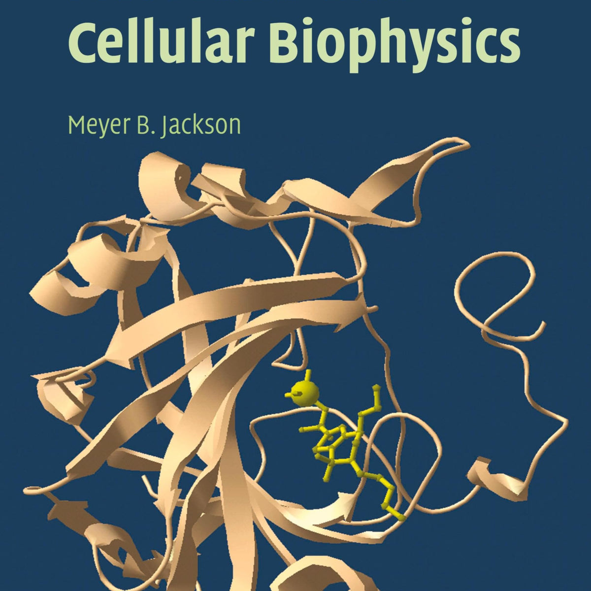 Molecular and Cellular Biophysics