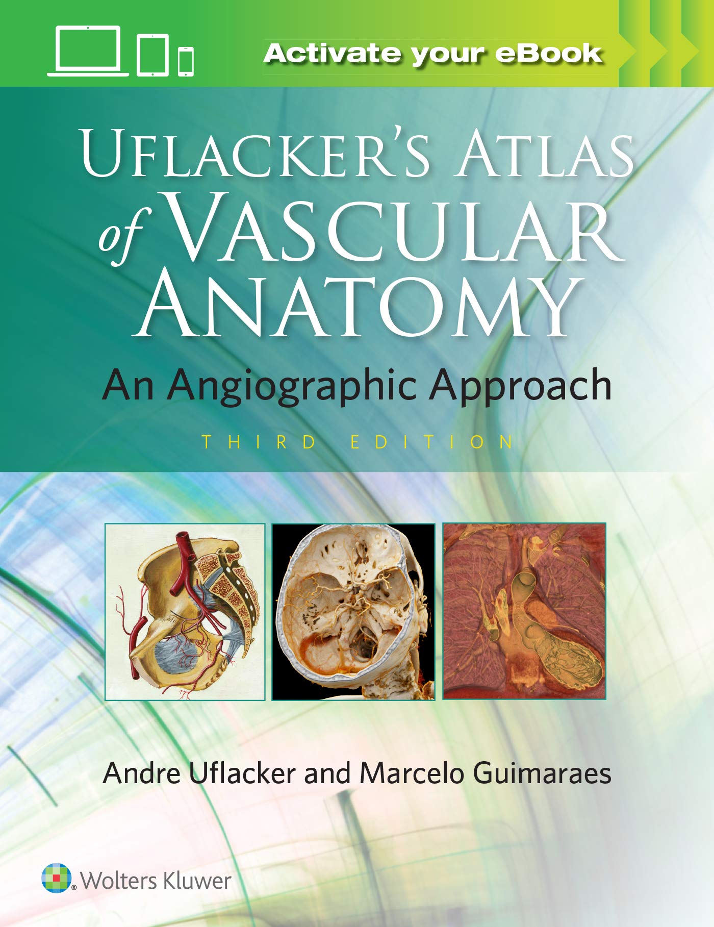 UFLACKERS ATLAS OF VASCULAR ANATOMY AN ANGIOGRAPHIC APPROACH 3ED (HB ...