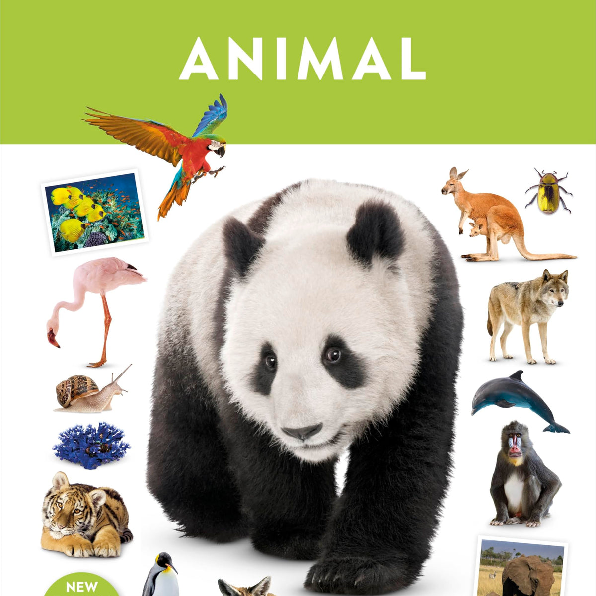 Animal | Retail Maharaj