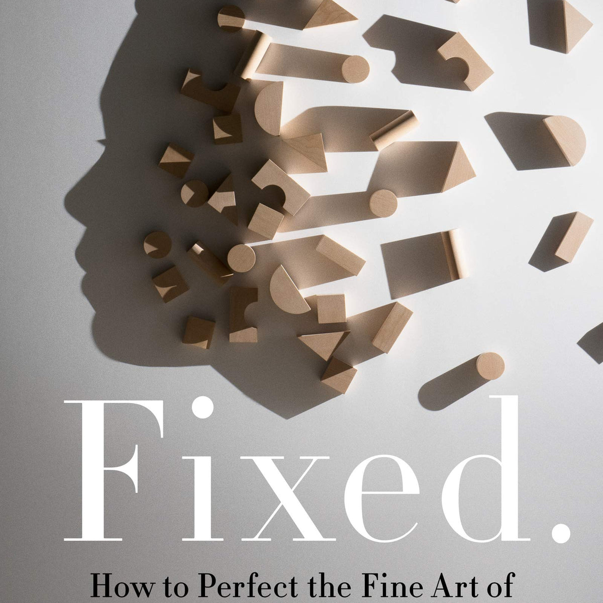 Fixed.: How to Perfect the Fine Art of Problem Solving | Retail Maharaj