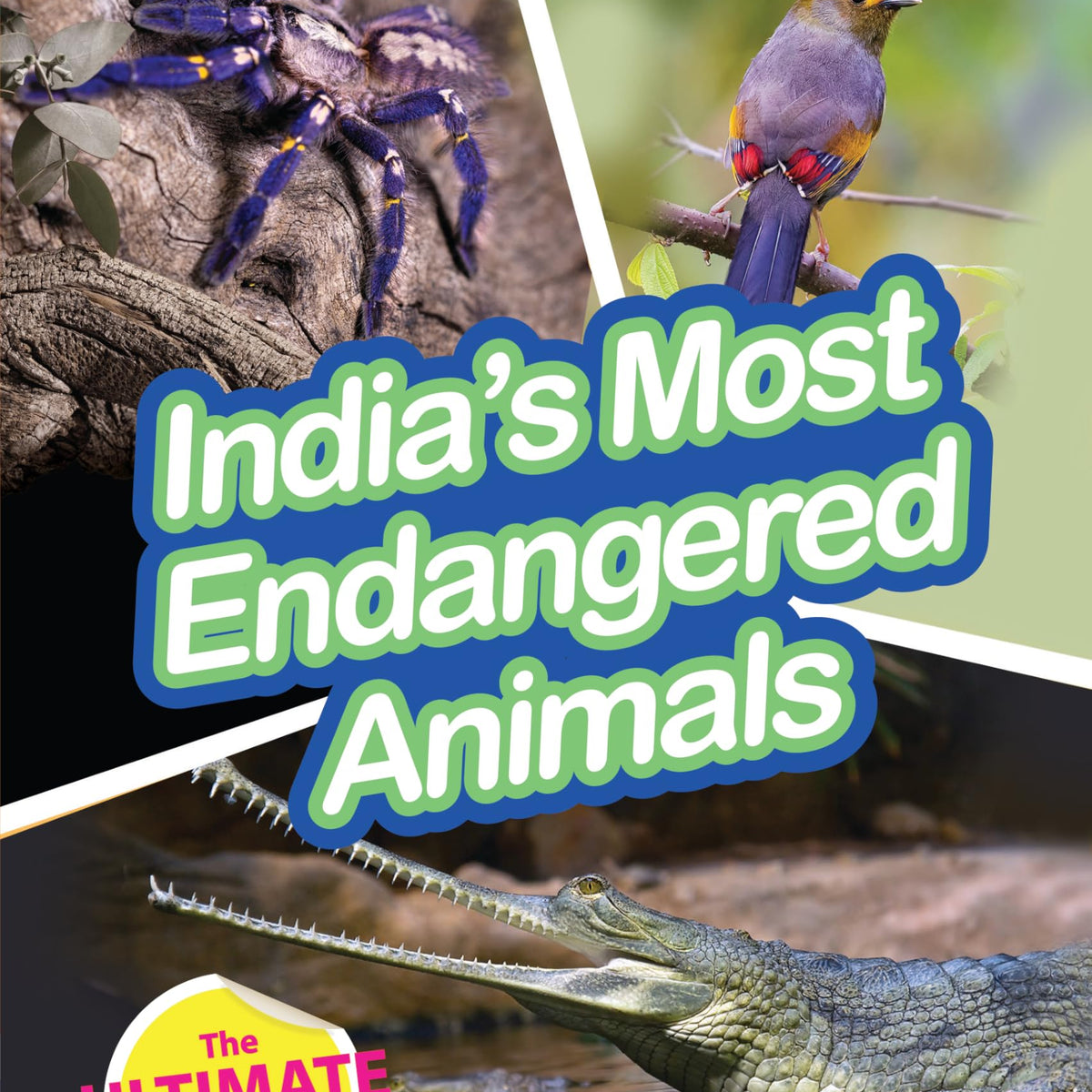 INDIA’S MOST ENDANGERED ANIMALS : Wild About India - Engaging Book for ...