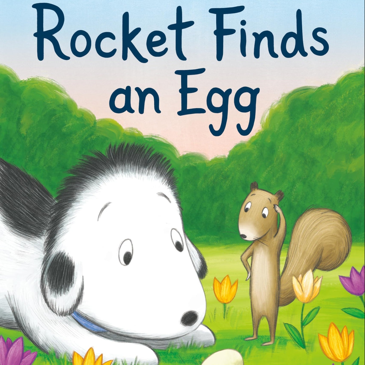 Rocket Finds an Egg