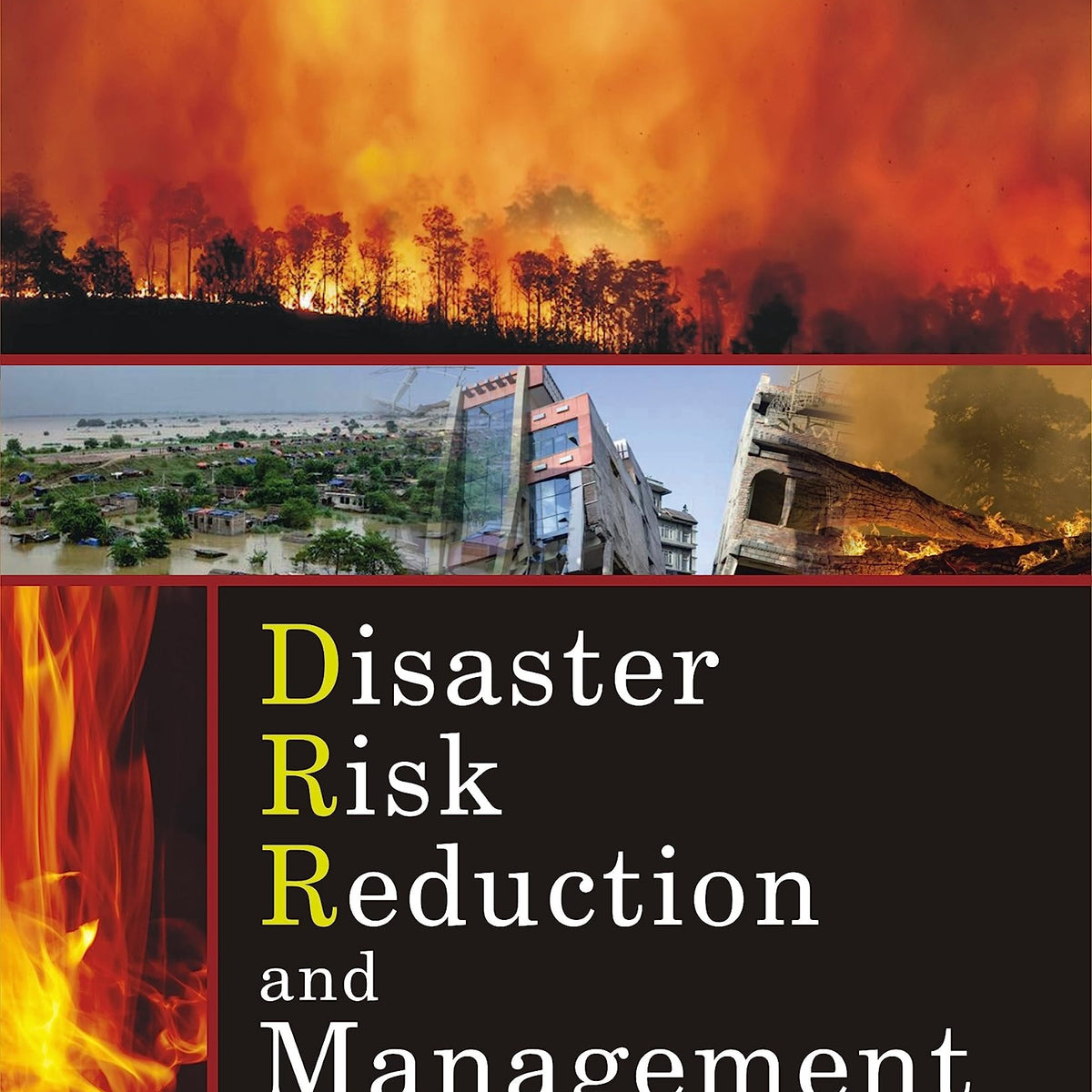 DISASTER RISK REDUCTION AND MANAGEMENT