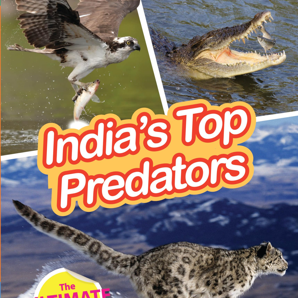 INDIA’S TOP PREDATORS : Wild About India - Engaging Book for Kids (Ages ...