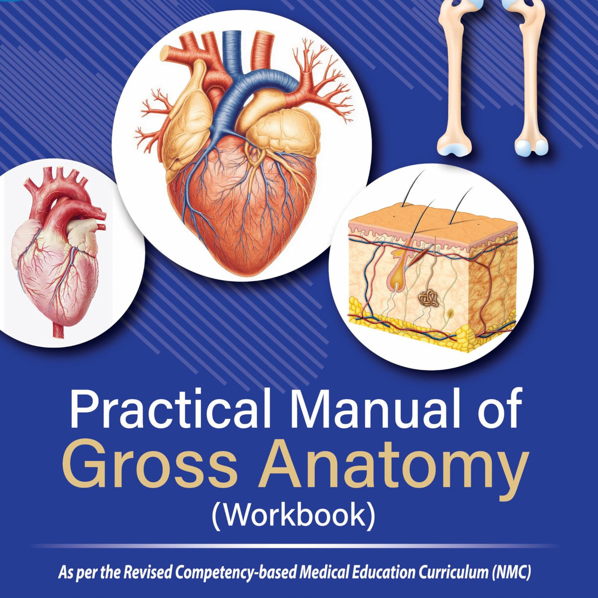 PRACTICAL MANUAL OF GROSS ANATOMY (WORKBOOK)
