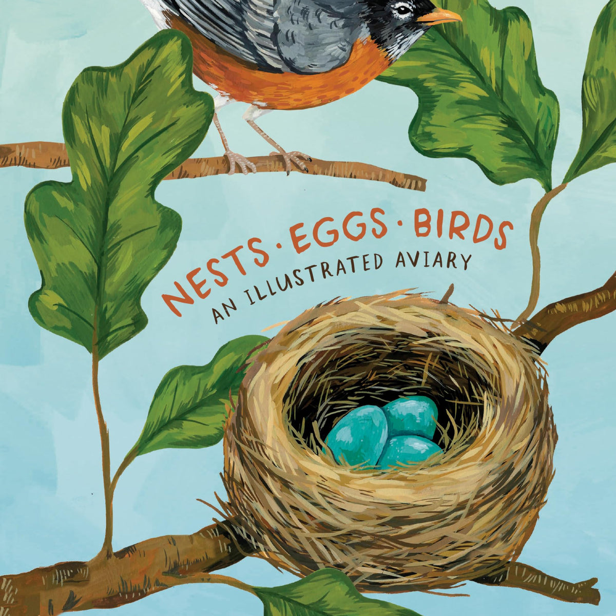 Nests, Eggs, Birds: An Illustrated Aviary | Retail Maharaj
