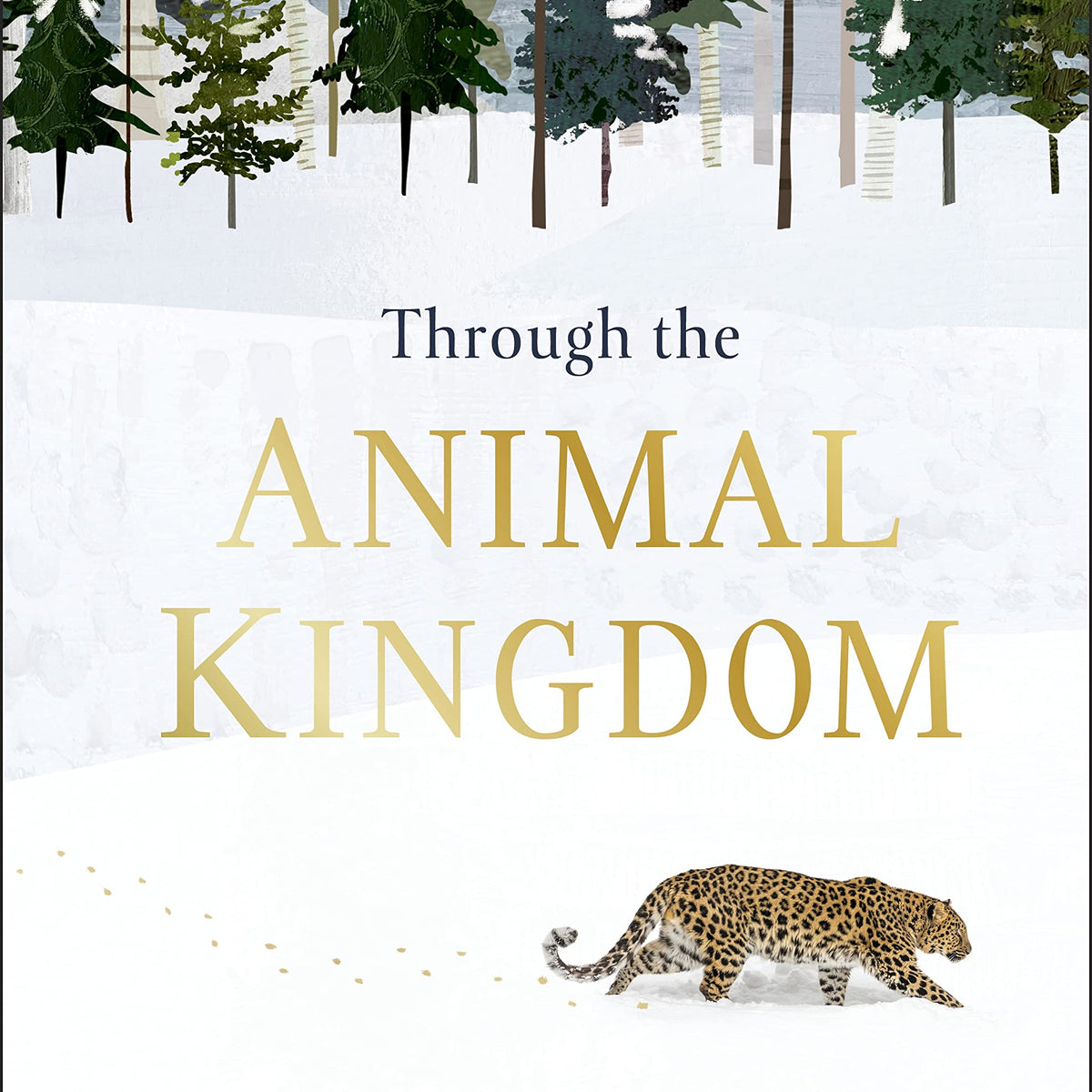 Through the Animal Kingdom: Discover Amazing Animals and Their ...