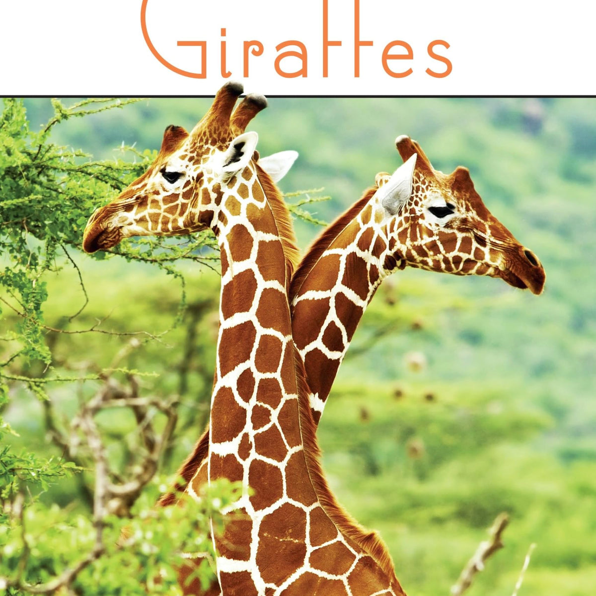 Giraffes (Penguin Young Readers, Level 3) | Retail Maharaj