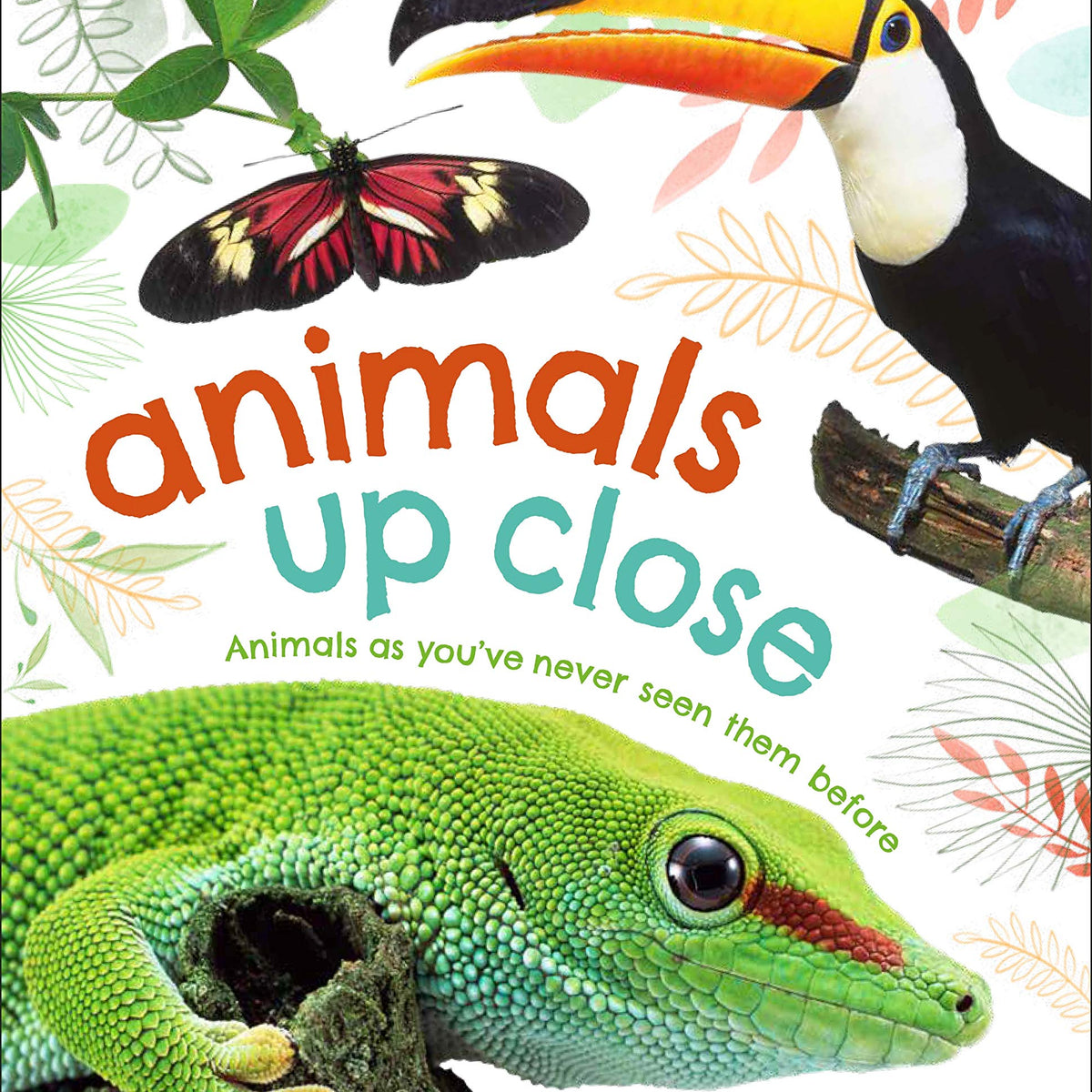 Animals Up Close: Animals as you've Never Seen them Before (DK Look ...