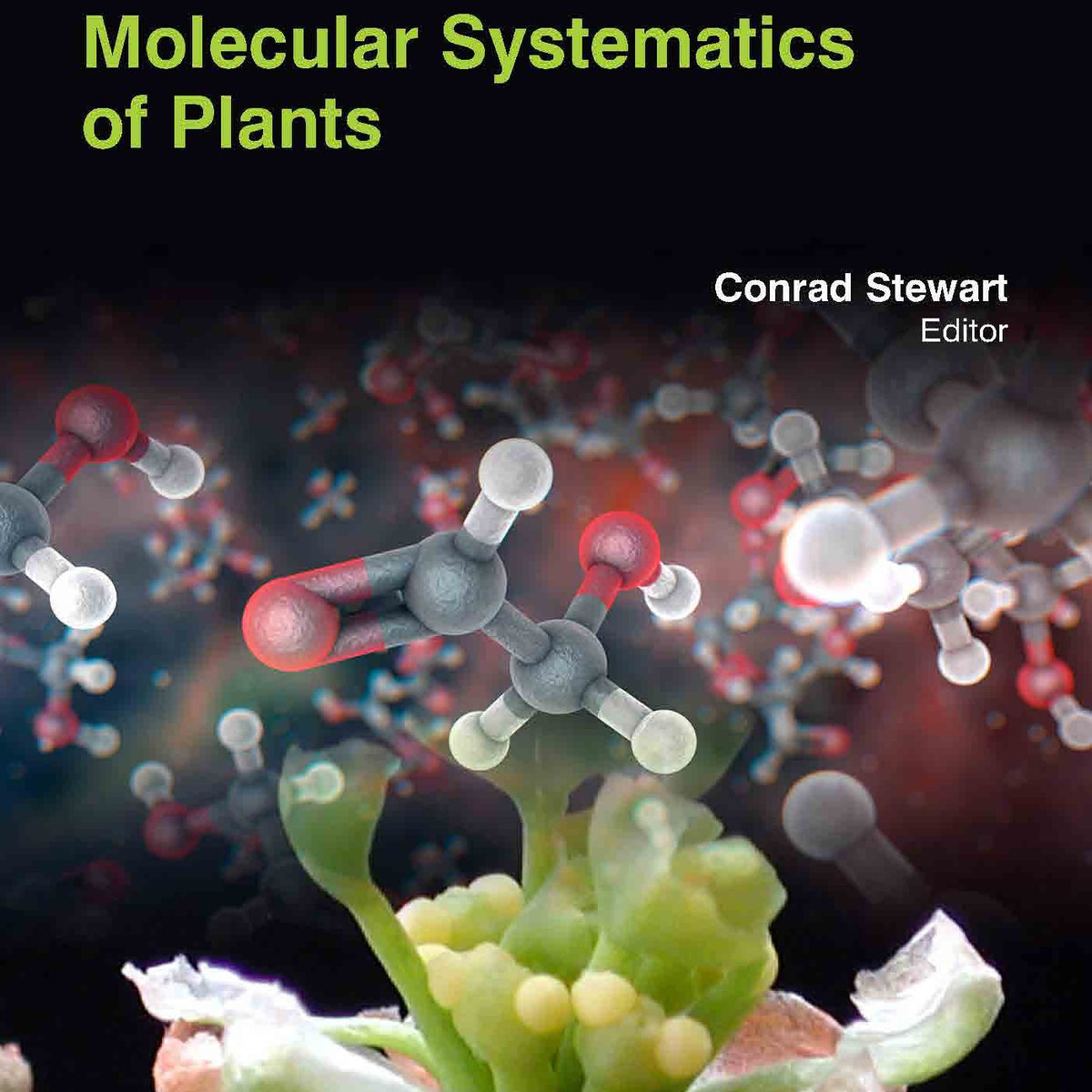 Handbook Of Molecular Systematics Of Plants (2 Volume Set )