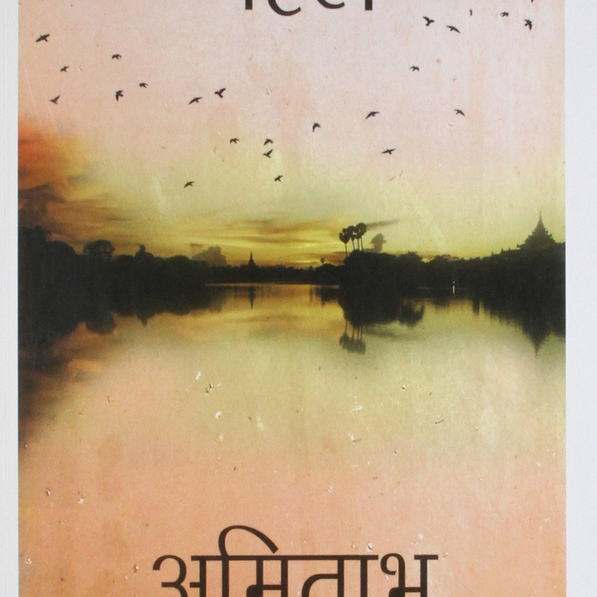 Sheesh Mahal (Hindi) [Paperback] Ghosh, Amitav and Kannan Jhingan ...